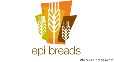 Epi Logo
